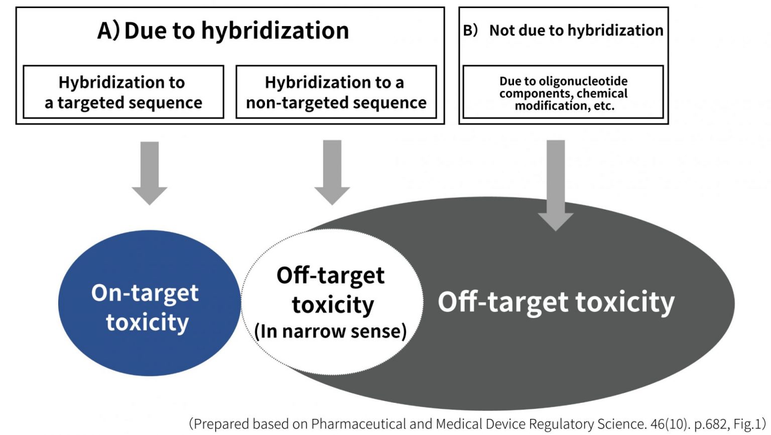 Solutions for Oligonucleotide Drug Discovery - Axcelead Drug Discovery ...