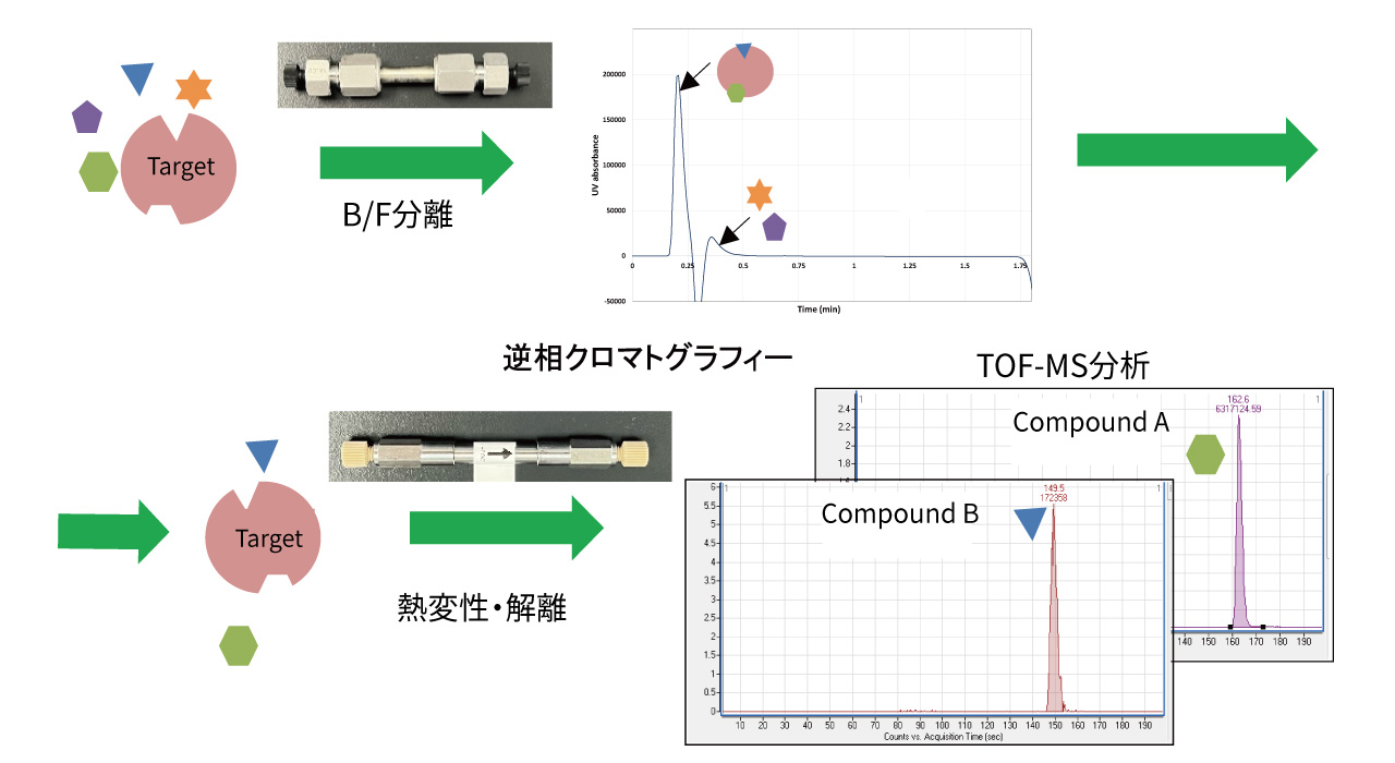 High Throughput-Aﬃnity Selection Mass Spectrometry (HT-ASMS) - Axcelead ...