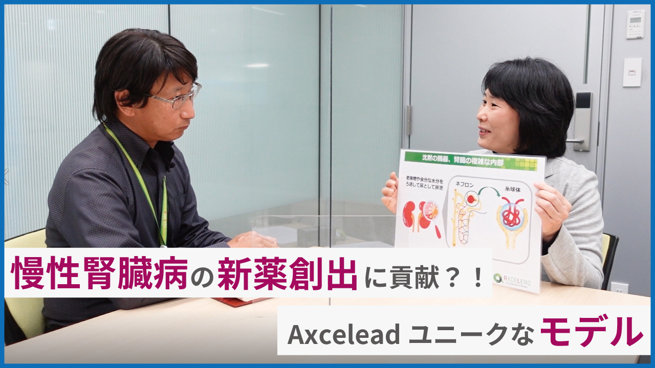 いけちゃんねる#57:慢性腎臓病の新薬開発に貢献？！Axceleadユニークなモデル - Axcelead Drug Discovery Partners株式会社