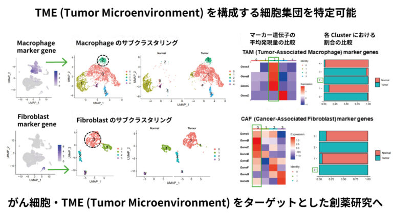 がん微小環境に着目した創薬研究 - Axcelead Drug Discovery Partners株式会社