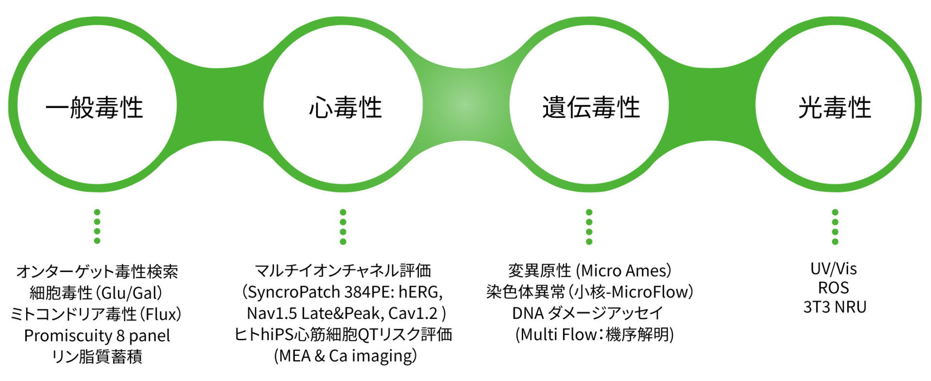 In vitro 探索安全性スクリーニング - Axcelead Drug Discovery Partners株式会社