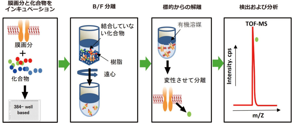 High Throughput-Aﬃnity Selection Mass Spectrometry (HT-ASMS) - Axcelead ...
