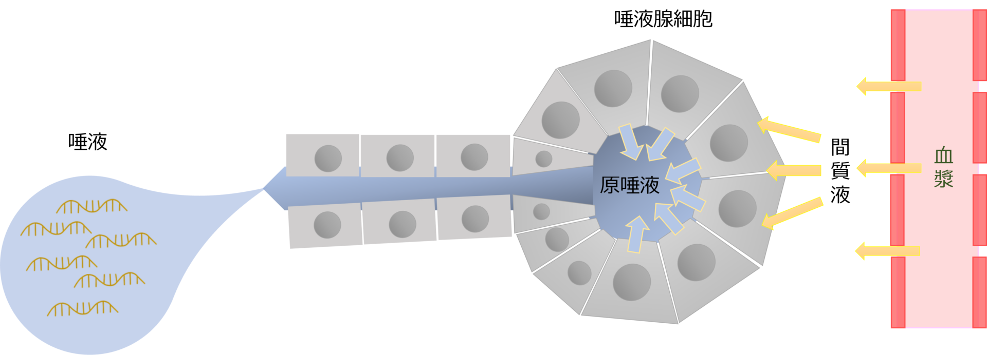 miRNA解析-176種類以上のmiRNAを網羅的に解析- - Axcelead Drug Discovery Partners株式会社