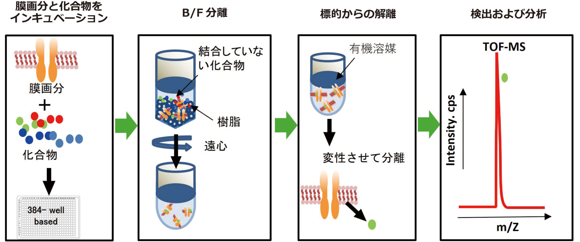 High Throughput-Aﬃnity Selection Mass Spectrometry (HT-ASMS) - Axcelead Drug Discovery Partners株式会社