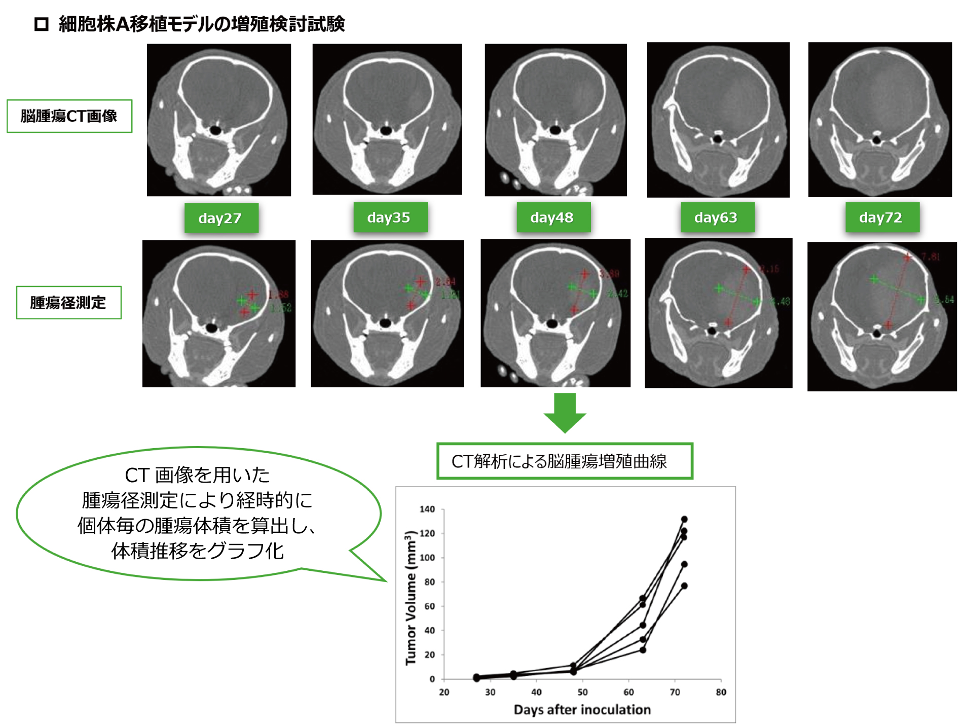 がん同所性移植モデルマウスの作製とin vivo評価 - Axcelead Drug Discovery Partners株式会社