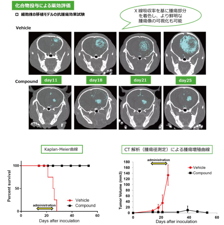 がん同所性移植モデルマウスの作製とin vivo評価 - Axcelead Drug Discovery Partners株式会社