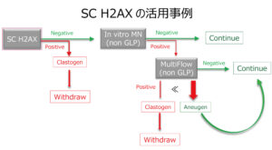 In vitro 探索安全性スクリーニング - Axcelead Drug Discovery Partners株式会社